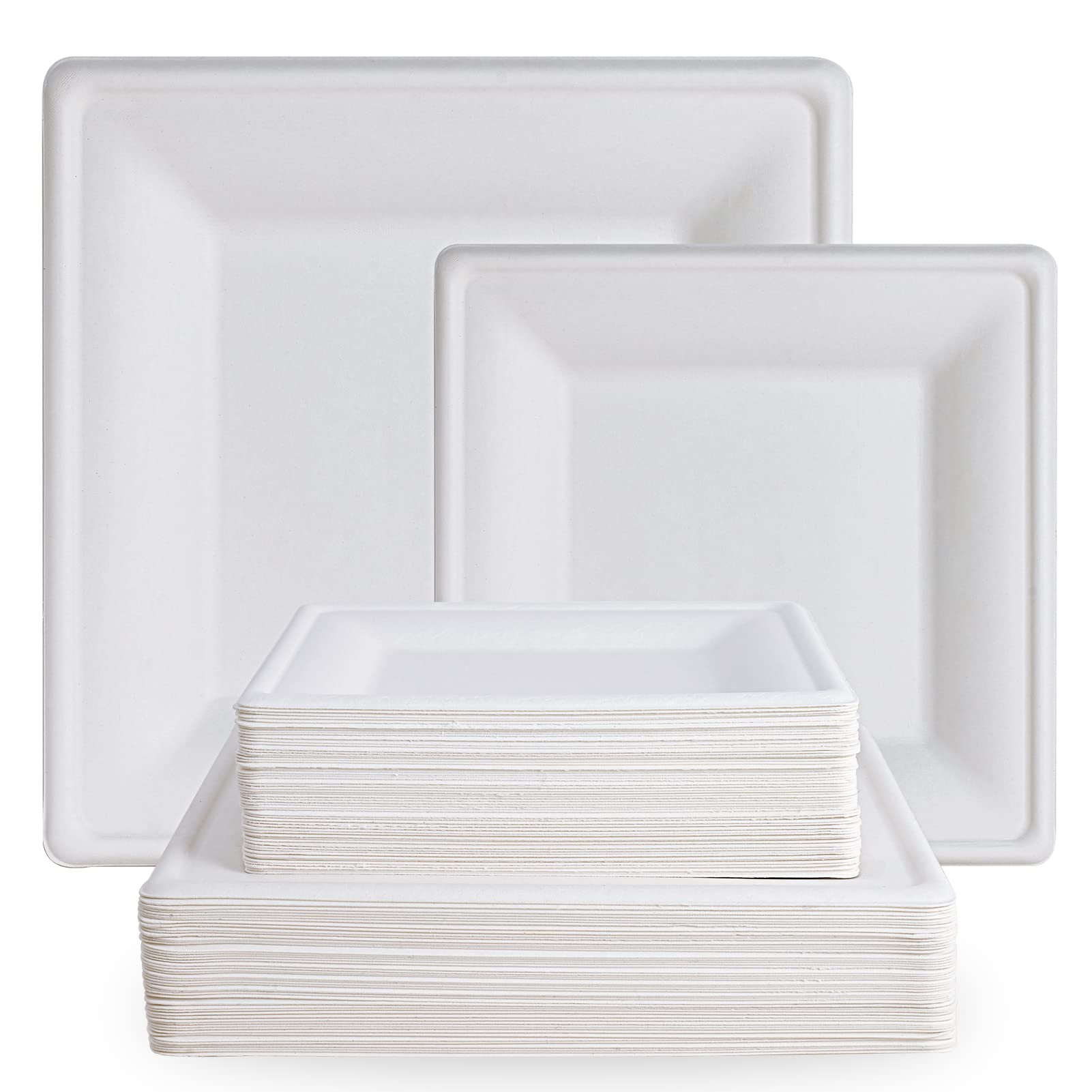 ECOLipak 120 Pack Compostable Paper Plates, AFN110 inch and 8 inch ...