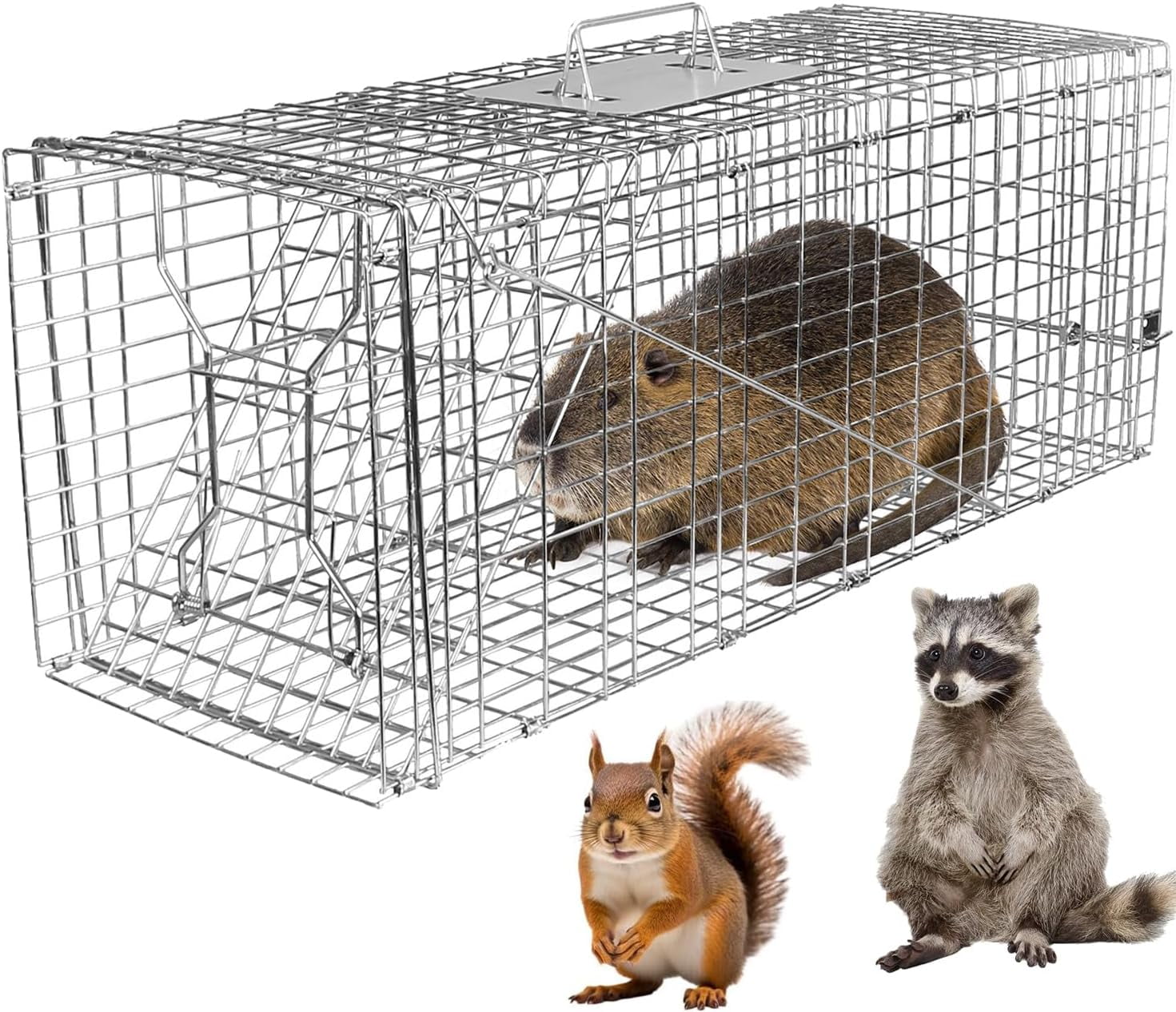 ECOOOL Large Live Animal Trap Cage 30""x11""x12"" Collapsible Heavy ...