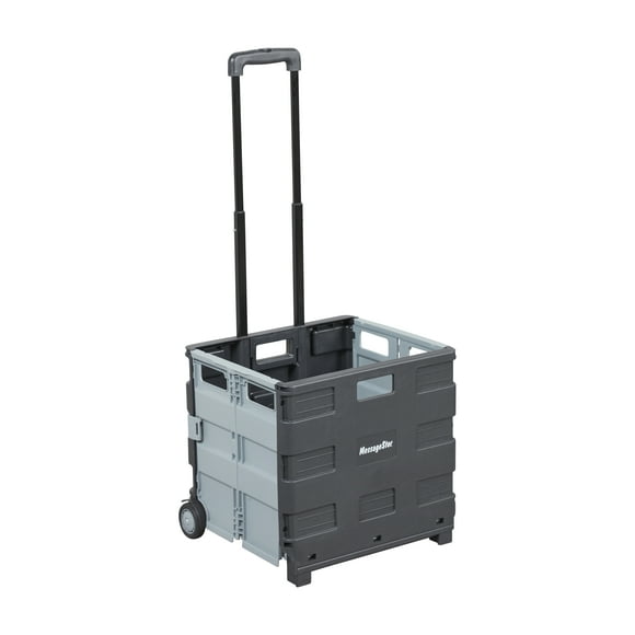 Rolling Crate