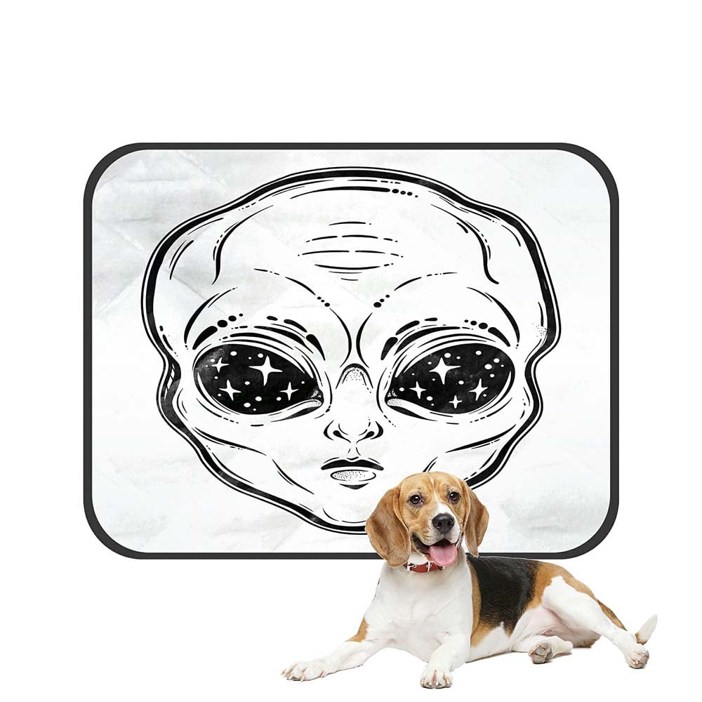 ECZJNT A Alien Head With Starry Eyes With Space Inside Pet Dog Cat Bed ...