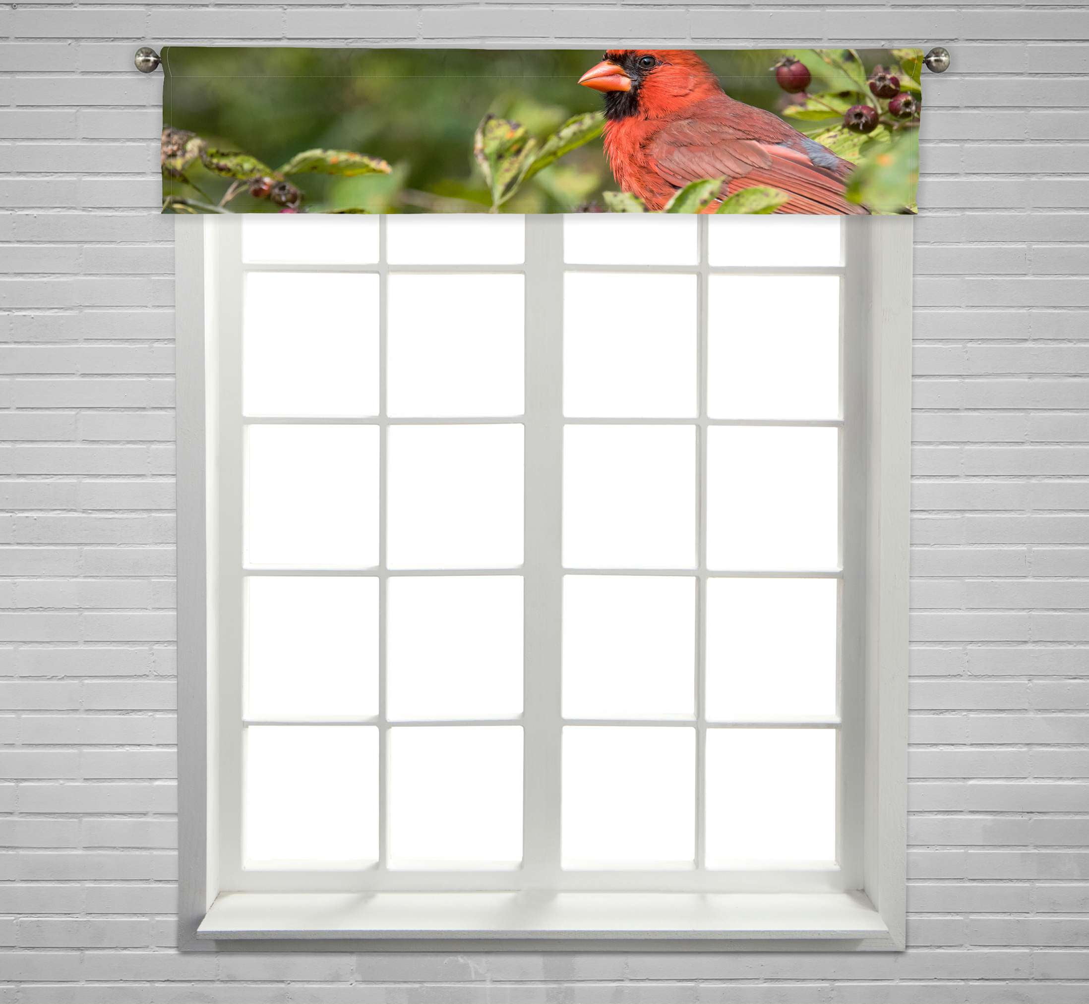 ECZJNT A Northern Cardinal in Toronto Window Curtain Valance Rod Pocket ...