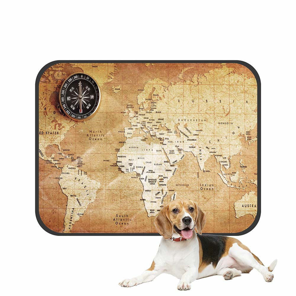 ECZJNT An Old Brass Compass On A Treasure Map Pet Dog Cat Bed Pee Pads ...