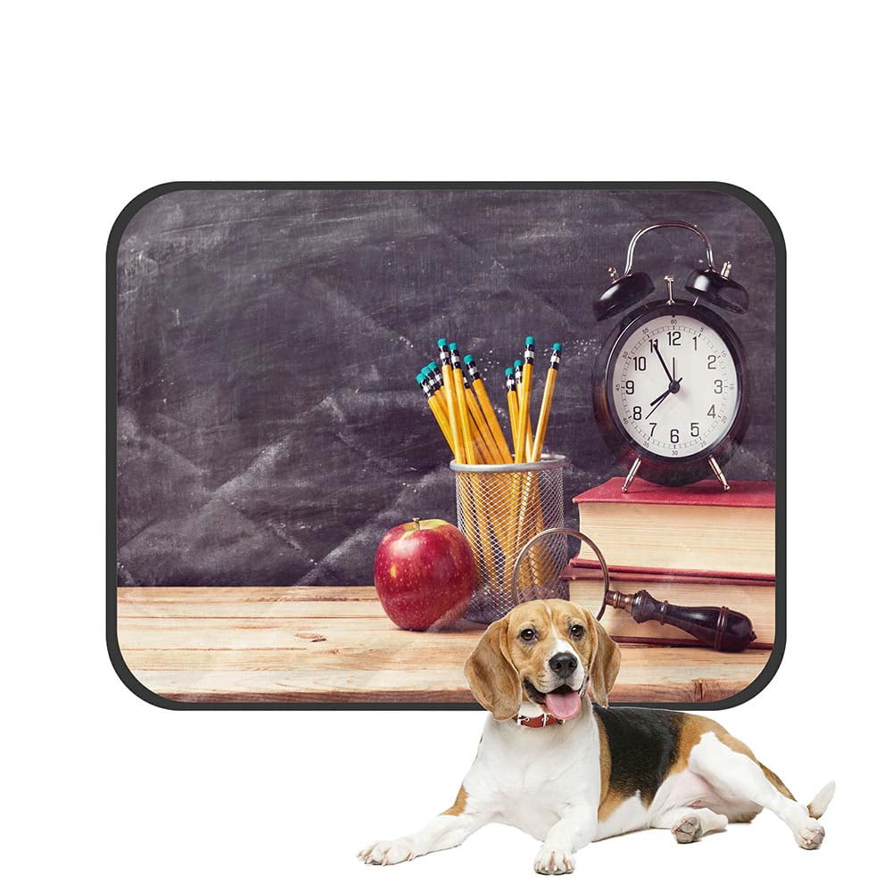 ECZJNT Back To School Books Alarm Clock Over Chalkboard Pet Dog Cat Bed ...