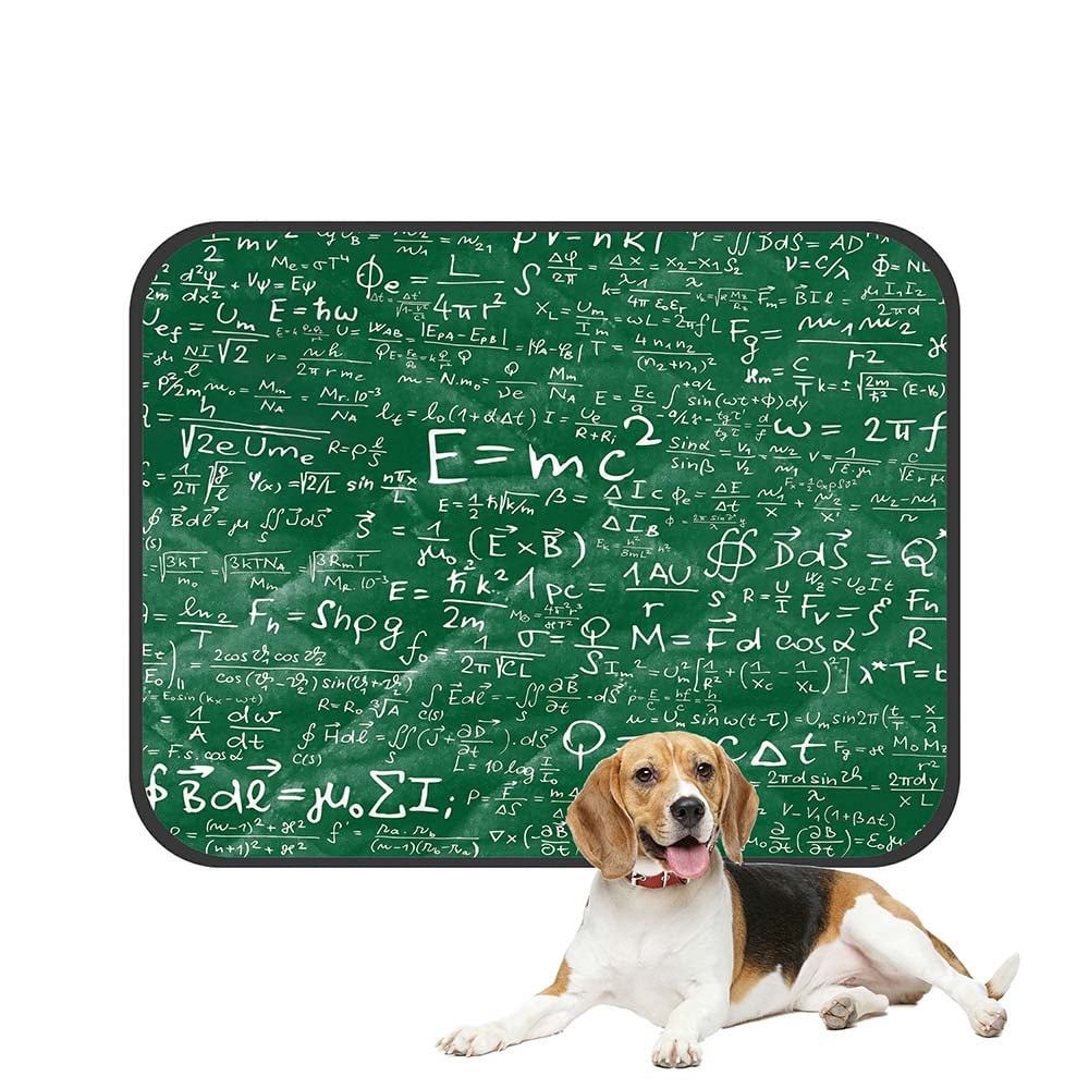 ECZJNT Blackboard With Physical Equations And Formulas Pet Dog Cat Bed ...