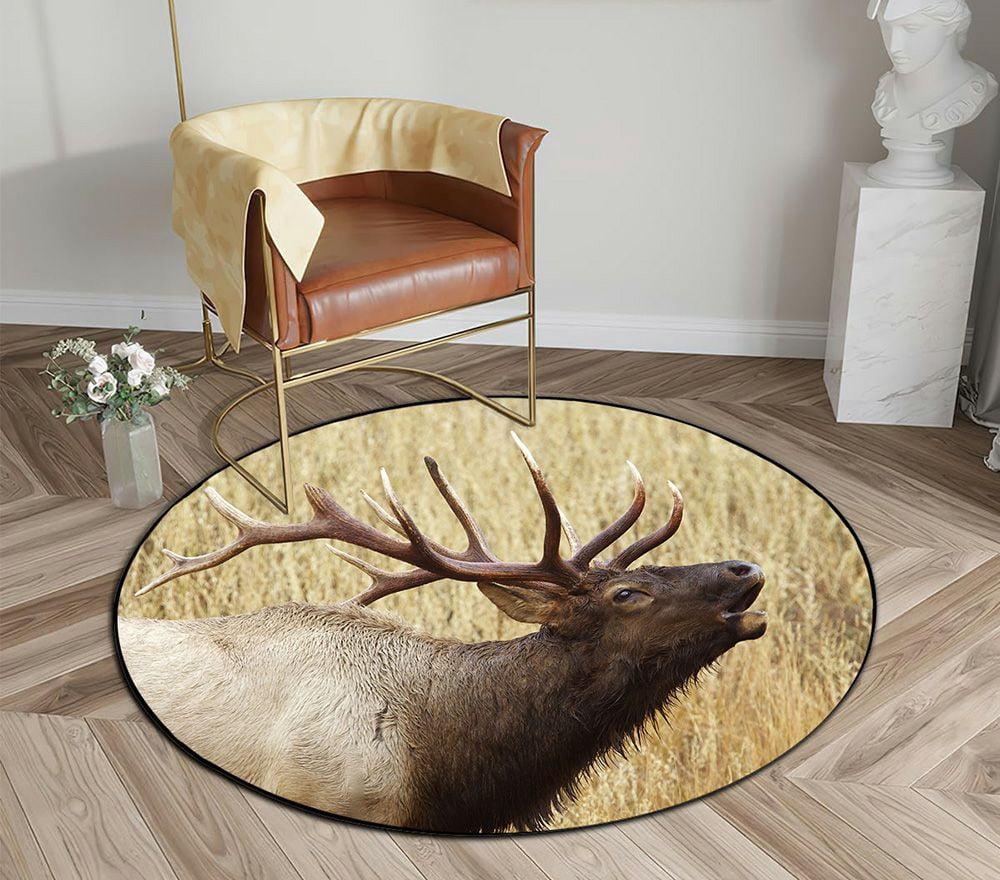 ECZJNT Bull Elk Stag Bugling Calling Rocky Mountain Cervus Canadensis ...