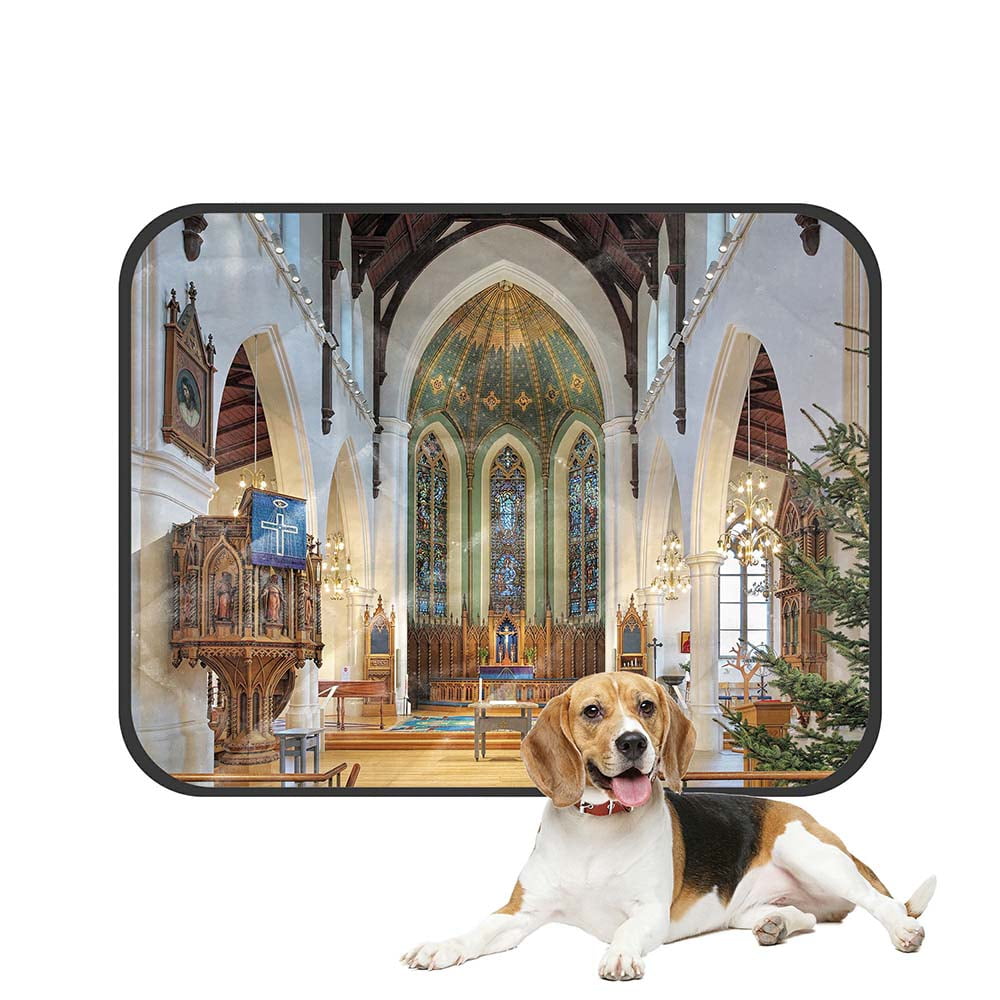 ECZJNT Choir Altar Haga Church Stained Glass Windows Vault Pet Dog Cat ...