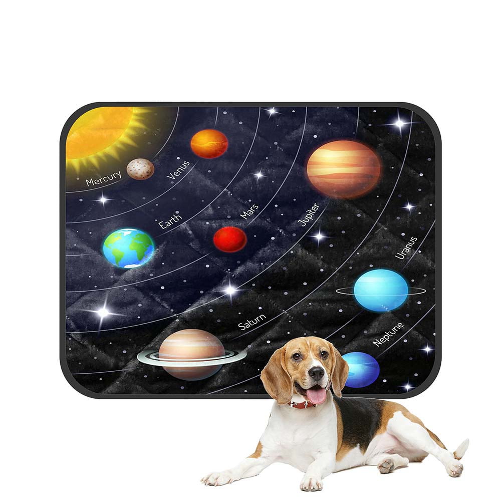 ECZJNT Colorful Solar System Orbits Twinkling Night Sky Stars Pet Dog ...