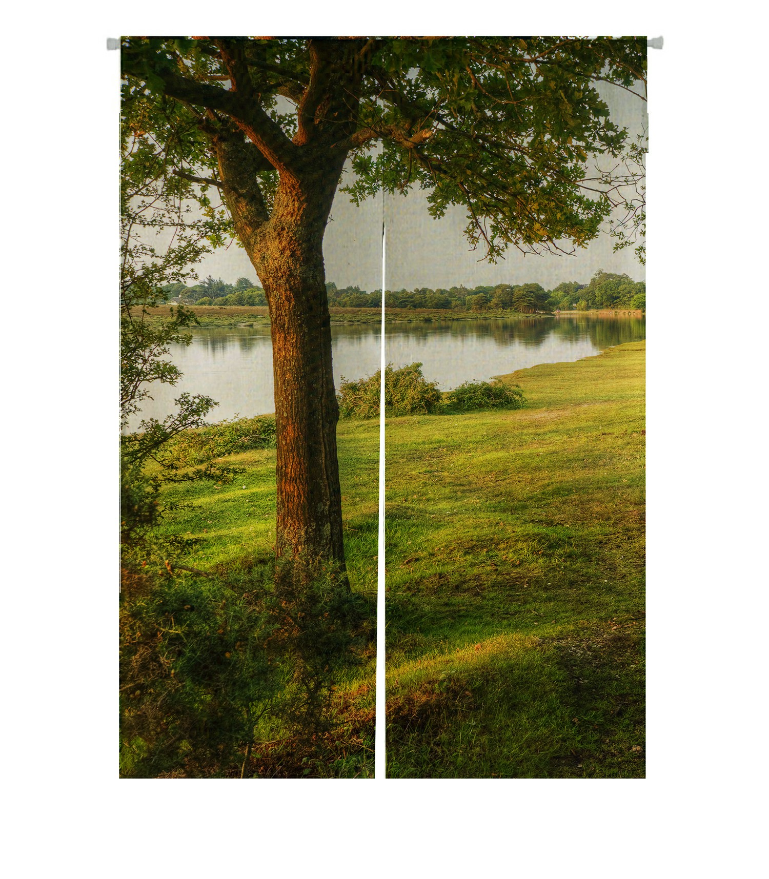 ECZJNT Fairytale style forest scene lake trees vibrant sunset Japanese ...