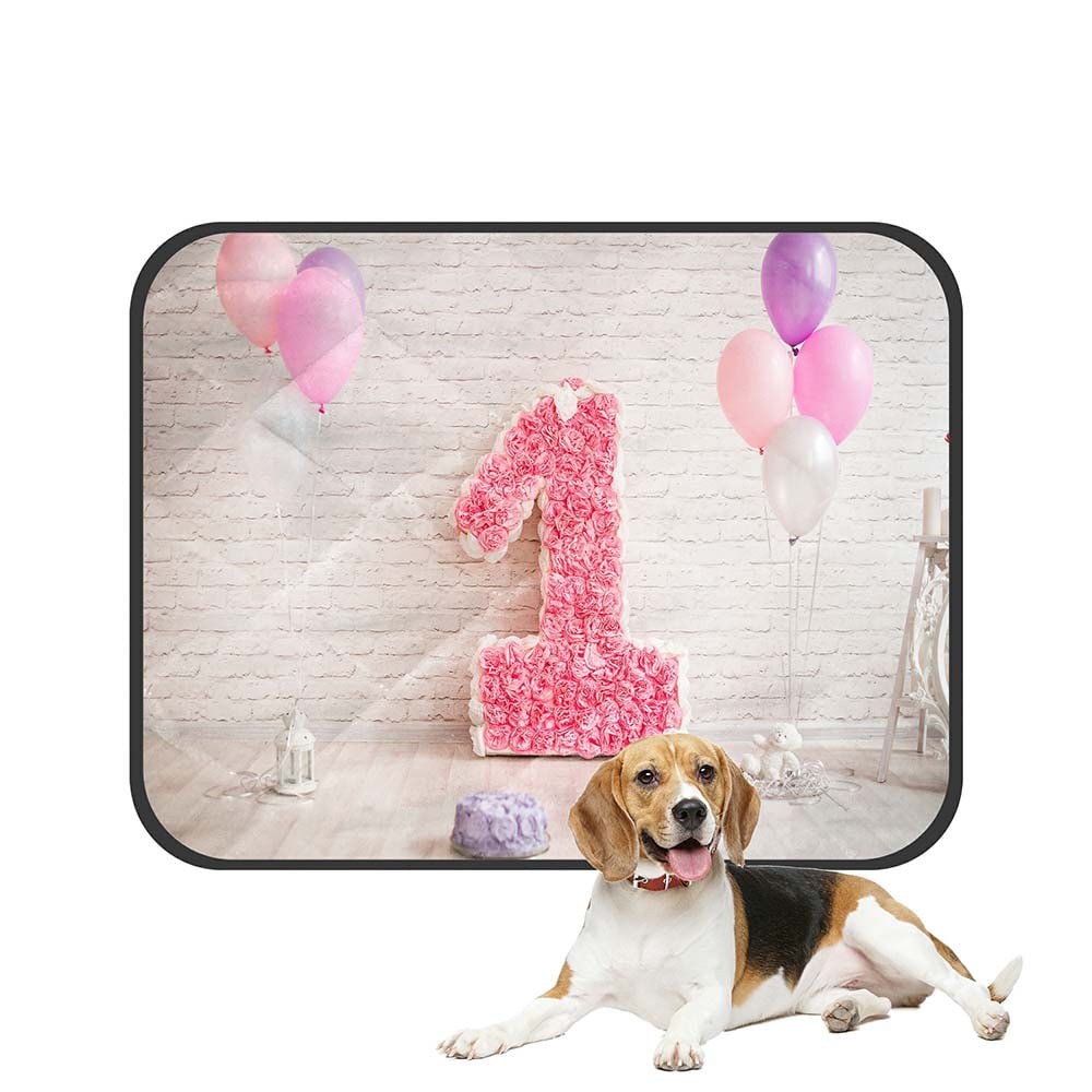 ECZJNT First Birthday Number 1 Form Pink 1St Birthday Brick Wall Pet ...