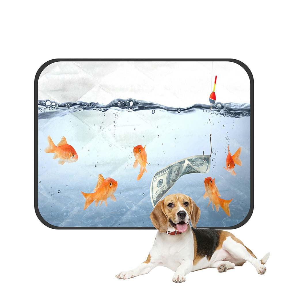 ECZJNT Goldfish In Danger Dollar As Bait Concept Deception Pet Dog Cat ...