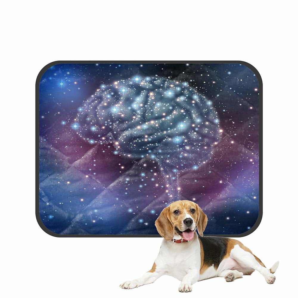 ECZJNT Human Brain Shape Made Of Stars And Planets In A Space Pet Dog ...