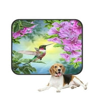 G-Floor 5' x 10' Polyvinyl Ceramic Pet Friendly Carpet Protector for ...