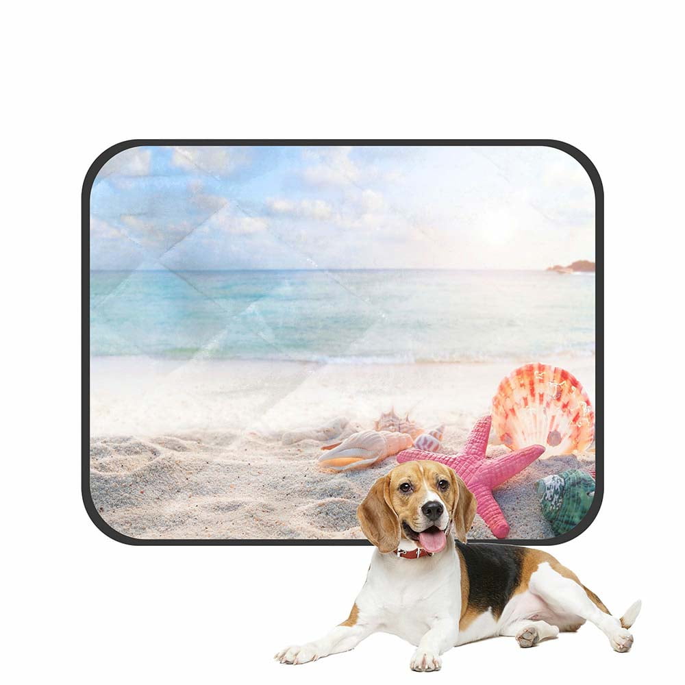 ECZJNT Summertime Tropical Beach Starfish Shells Coral On Sandbar Blur ...