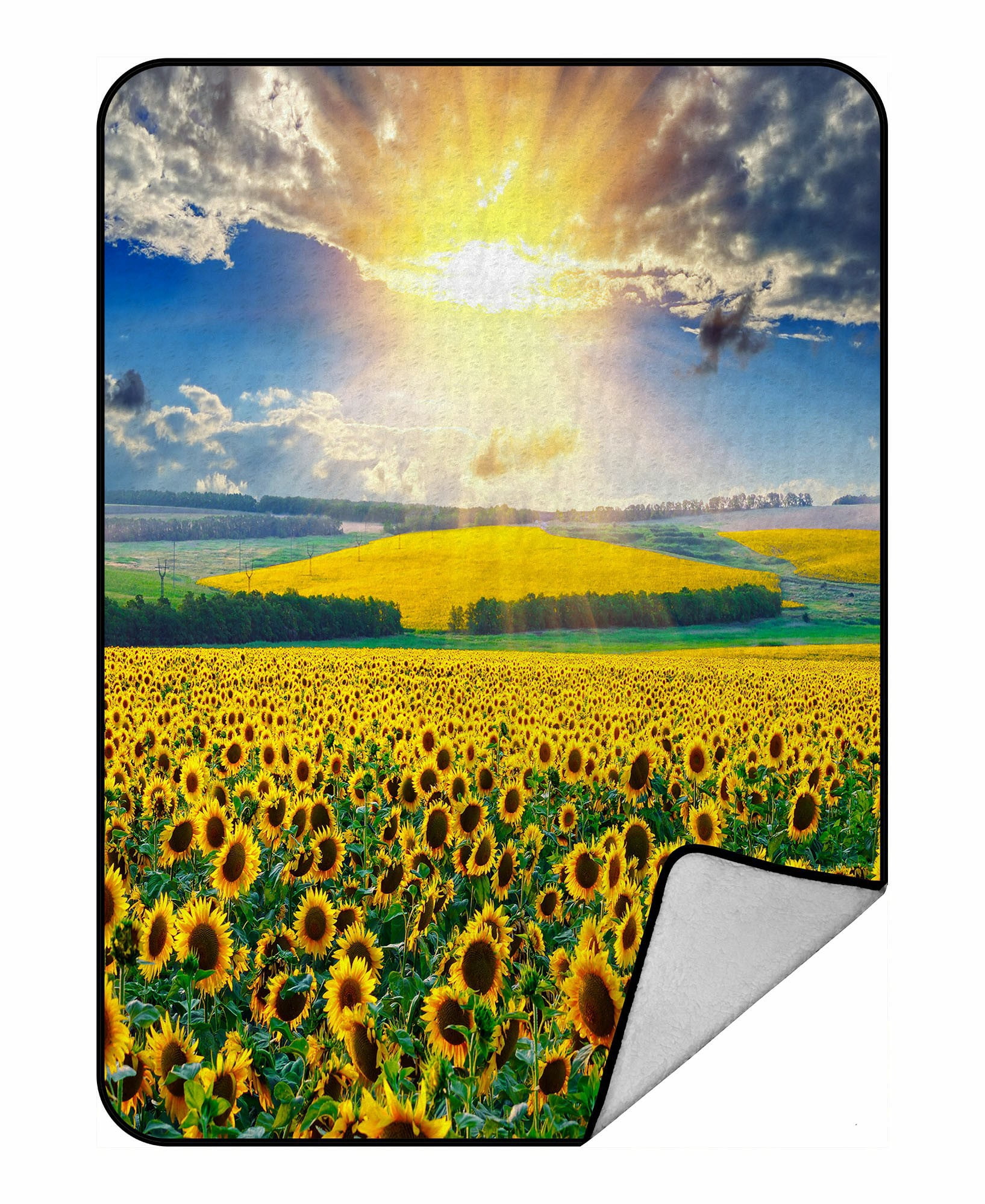 ECZJNT Sunflower field against dramatic sky rising sun Throw Blanket ...