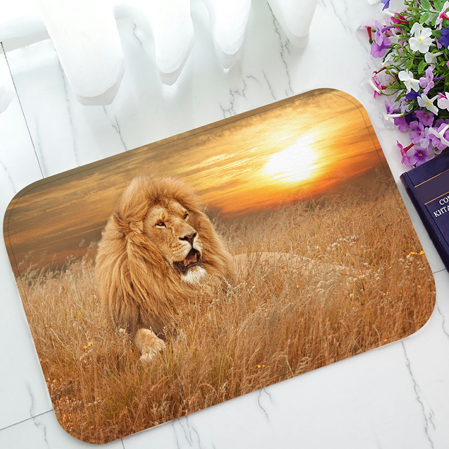 ECZJNT lions in grass Doormat Bath Mat Rug Entrance Rug Floor Mats 23 ...