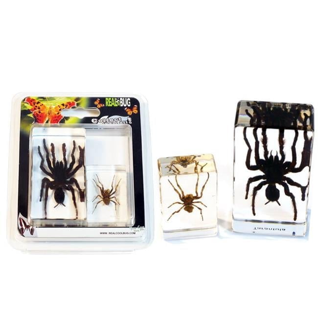 ED Speldy East PWC424 Tarantula & Spider Paperweight Collection - 2 ...
