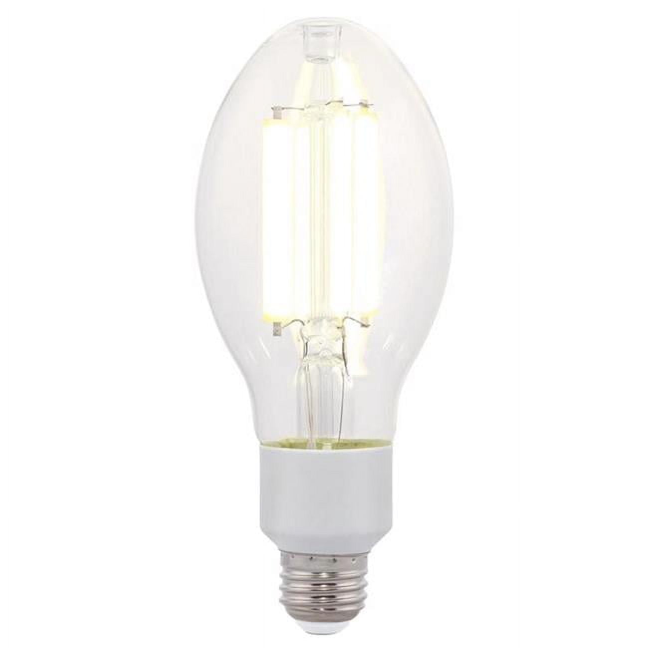 ED23.5 E26 Medium Filament LED Bulb Daylight - 150W Equivalence ...