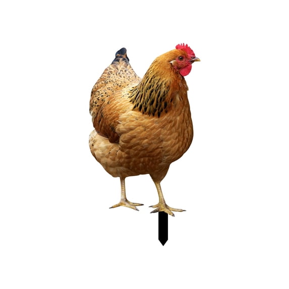 EDHITNR Cute Chicken Acrylic Garden Decoration Board, Outdoor Yard Lawn ...