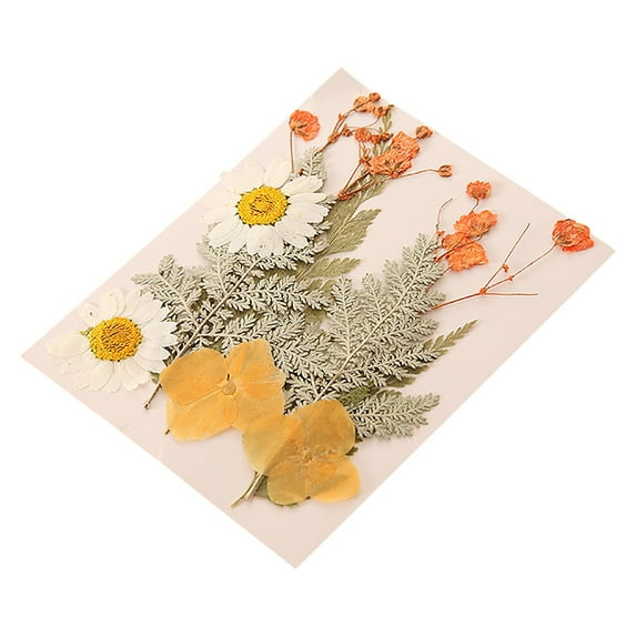 EDHITNR Dried Embossed Flowers for Resin, Natural Pressed Flowers Kit ...