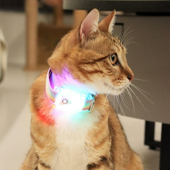 EDHITNR LED Dog Collar, USB Rechargeable Light Up Collar for Dogs ...