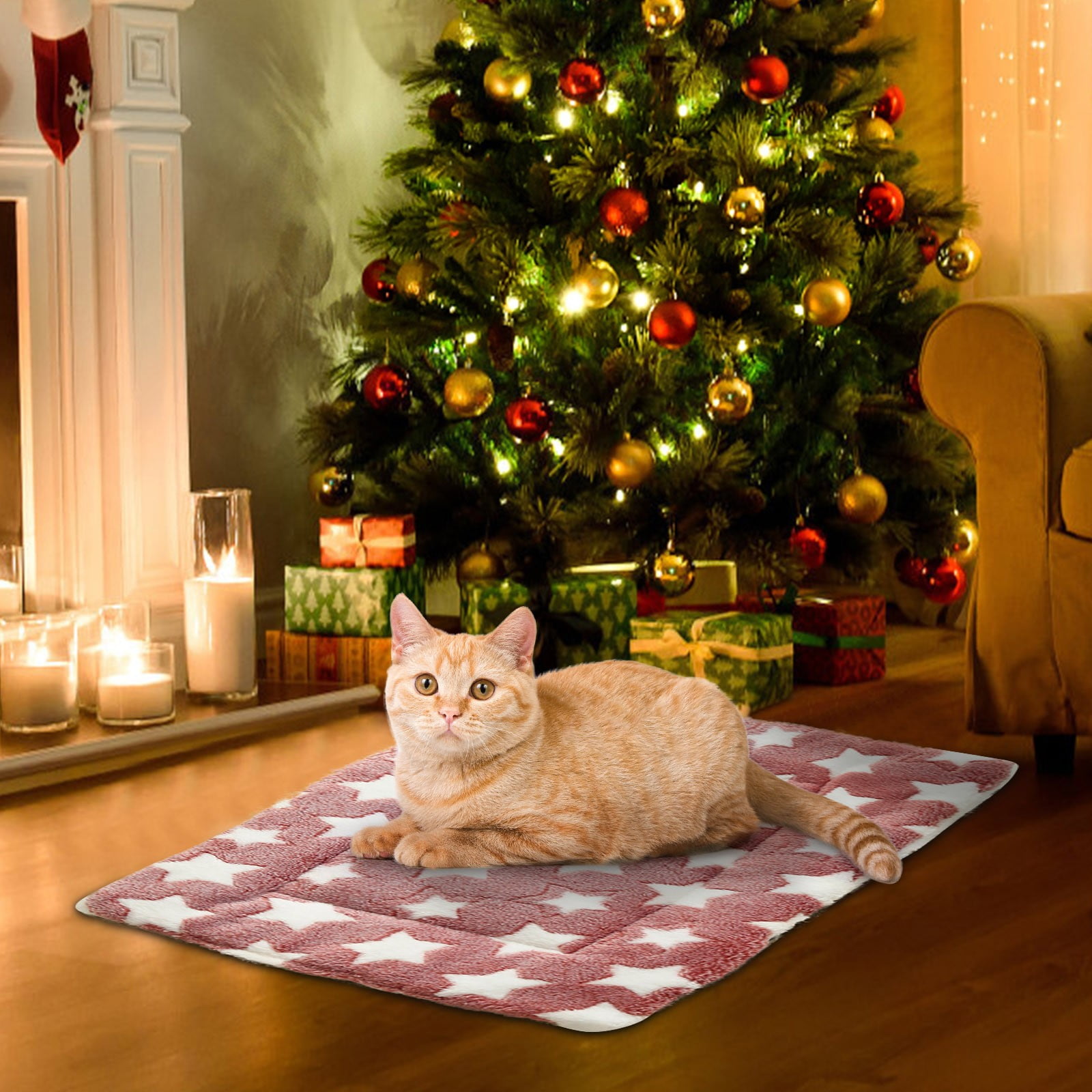 EDHITNR Non-Slip Pet Mat, Thick Soft Dog Bed Pad with Anti-Skid Bottom ...