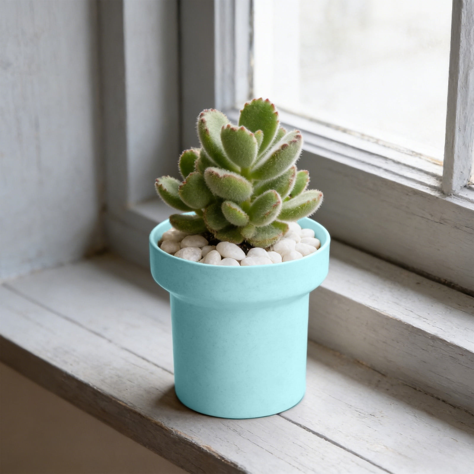 EDHITNR Planter, Mini Plastic Flower Pot for Indoor Plants, Desktop ...