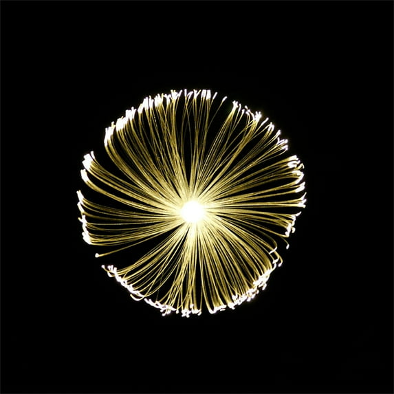 EDHITNR Solar Garden Lights, Shape Changing LED Flower Lamp, Courtyard ...