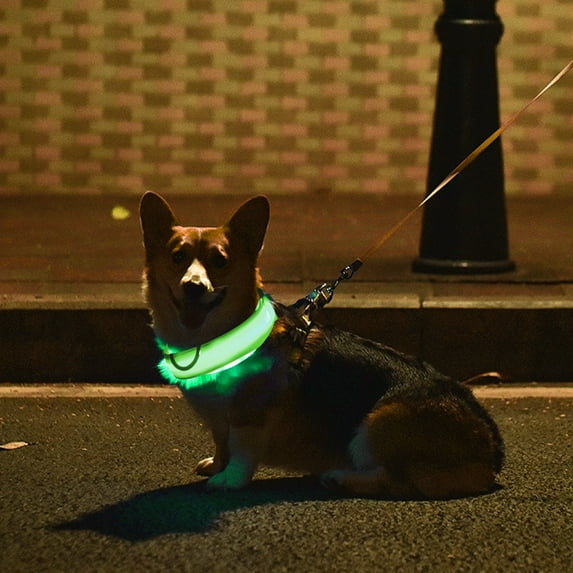 EDHITNR USB Rechargeable LED Dog Collar, High Visibility Lighted Pet ...