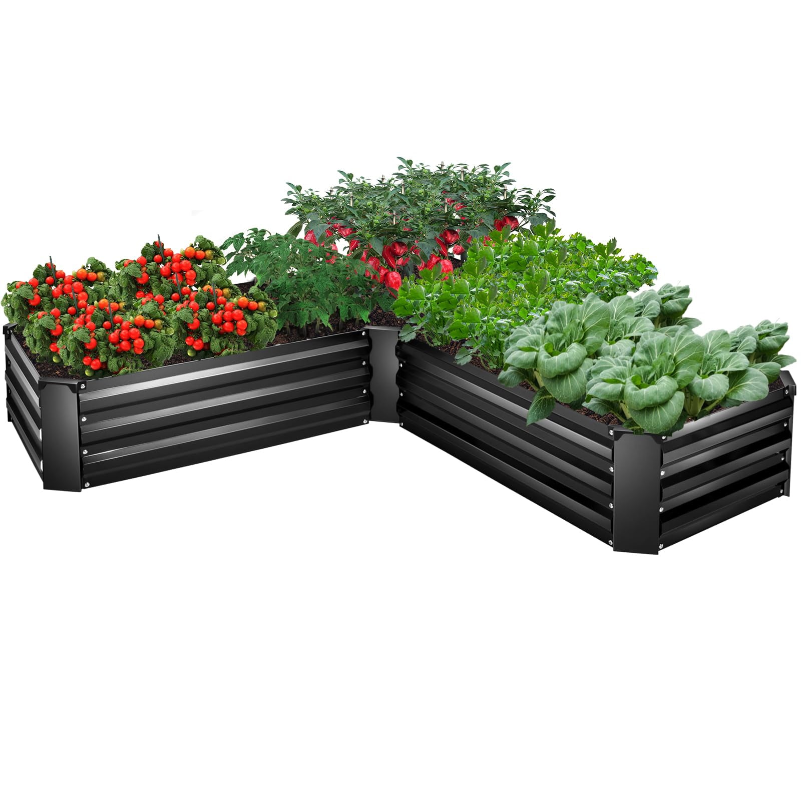 EDOSTORY Raised Bed Garden Bed Kit, 5x5x1ft Galvanized Planter Tall ...