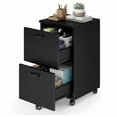 EDX 2 Drawer File Cabinet, Rolling File Cabinet with Lockable Wheels ...