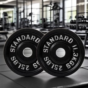 25lb Weight Plate