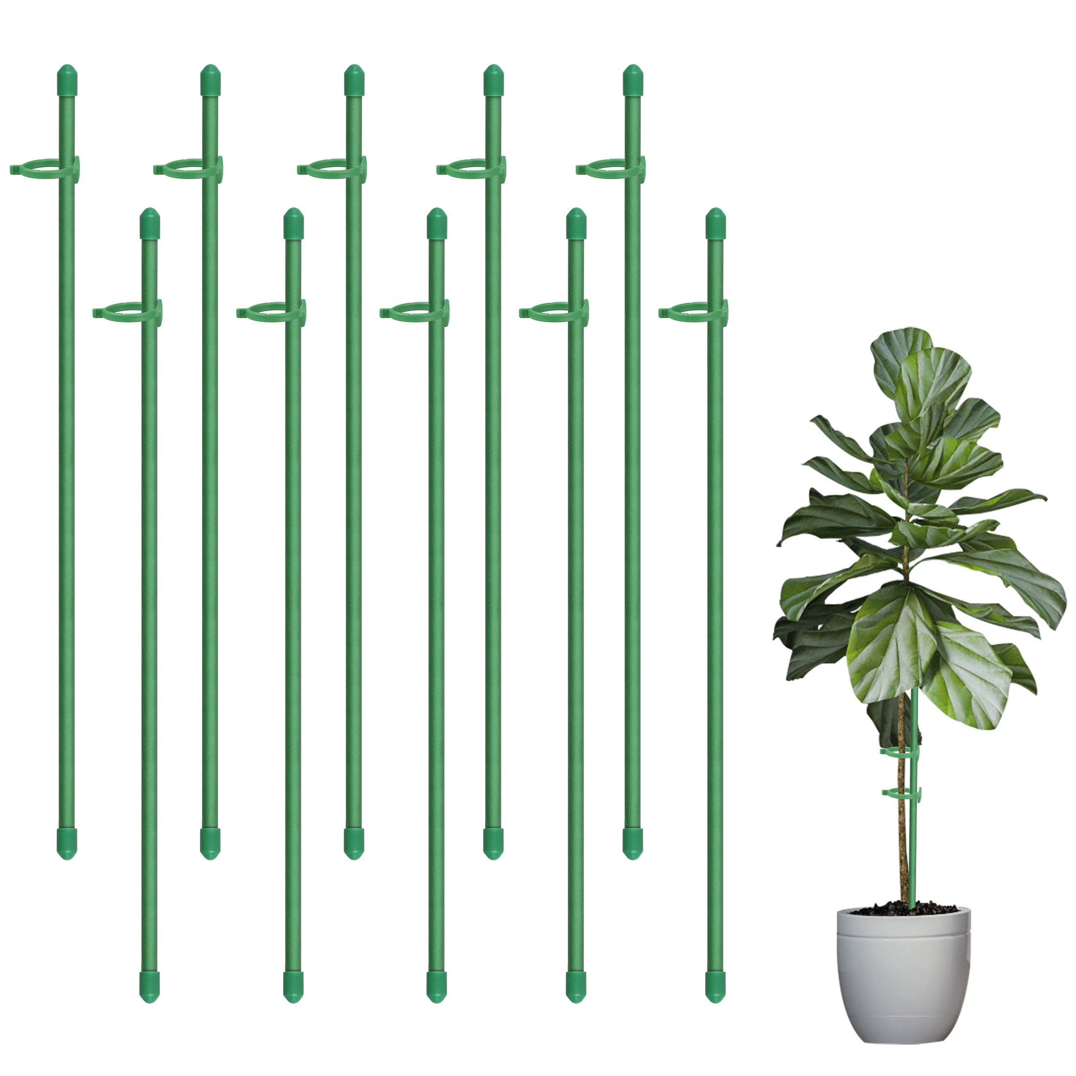 50 PCS Garden Wood Plant Stakes, Green Bamboo Sticks, Sturdy Floral ...