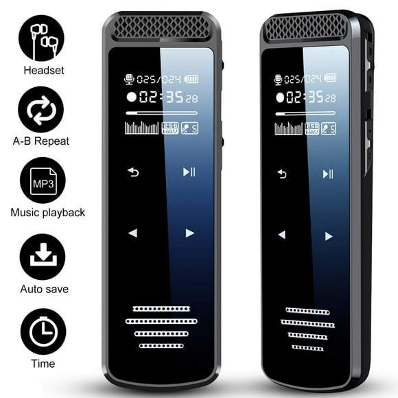 Mini Voice Recorder Playback
