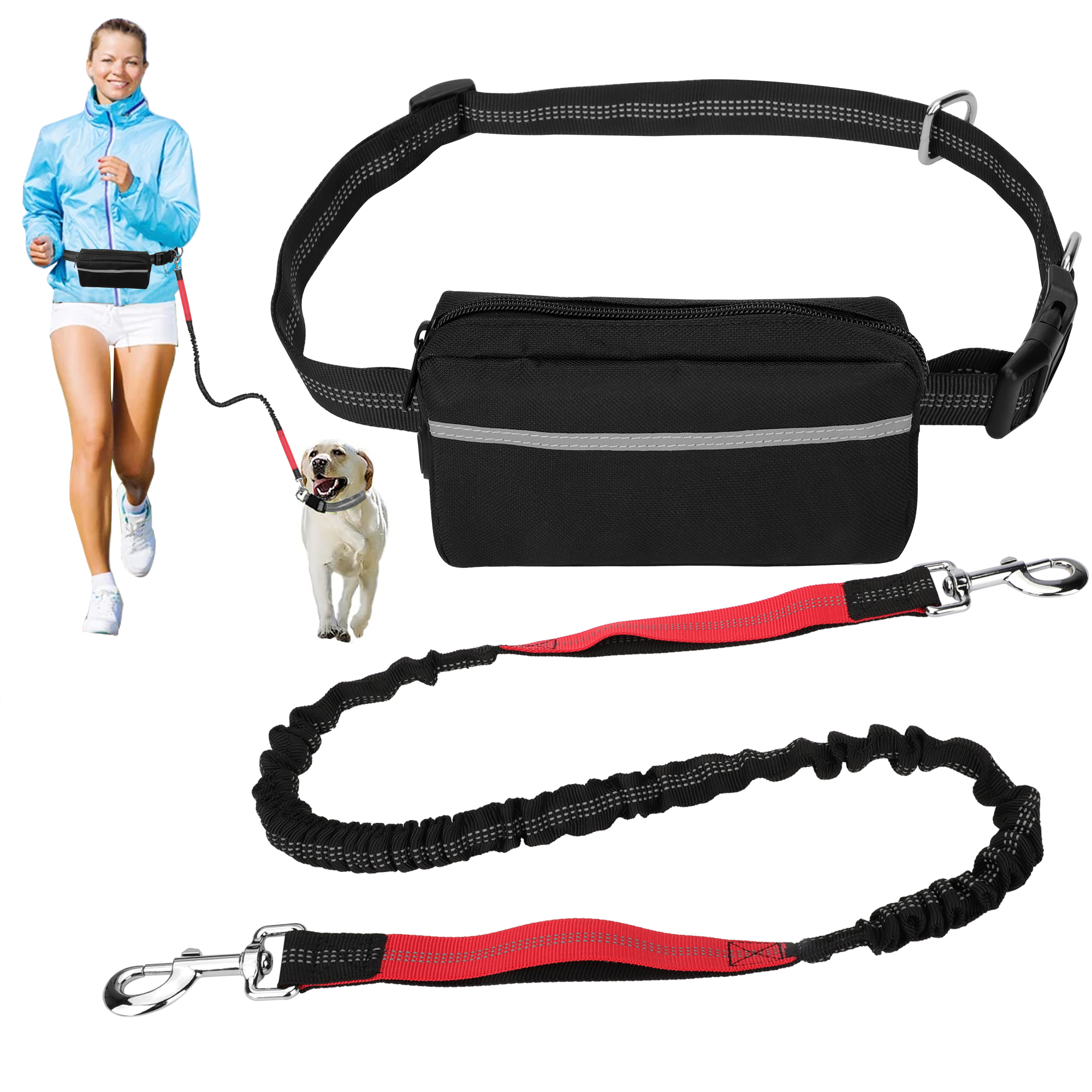 SportLeash Hands-Free SportPack with Detachable Bungee Dog Leash ...