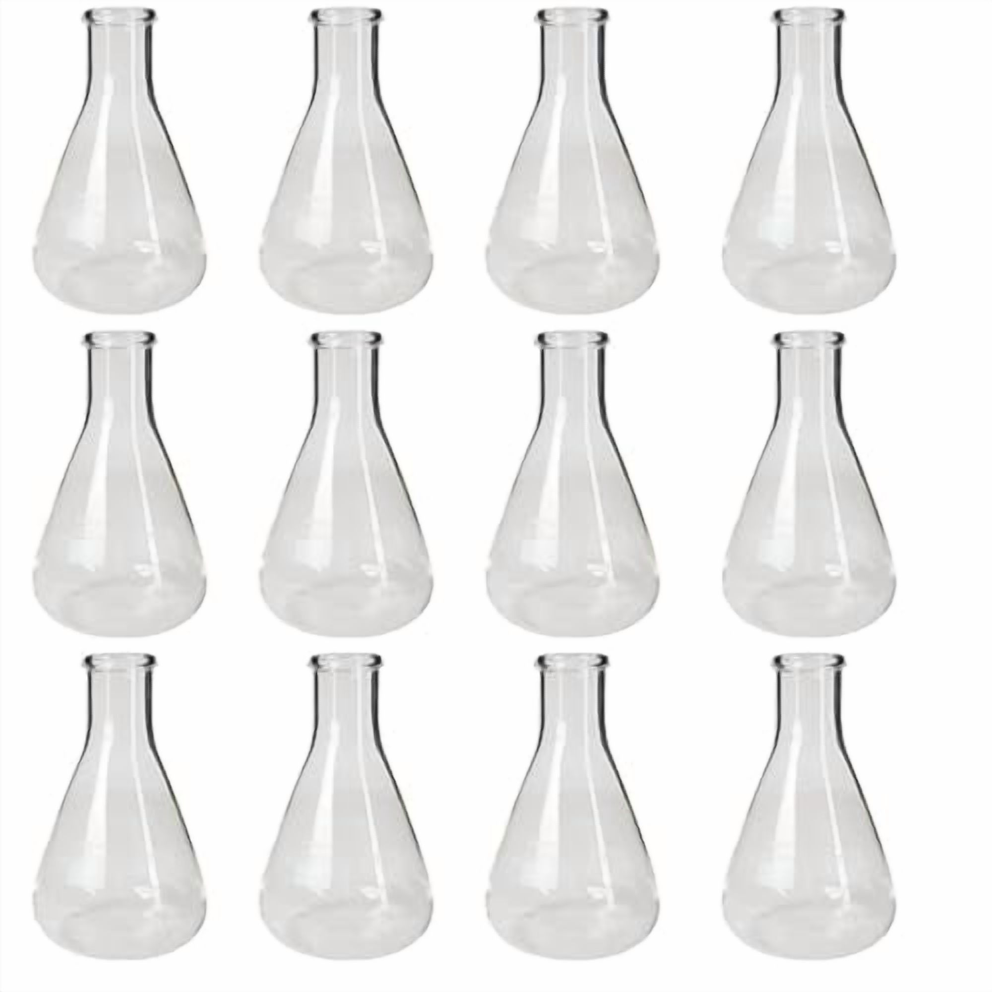 EF125-PK GLASS Gsc Erlenmeyer Flasks, 125 mL with Graduations ...