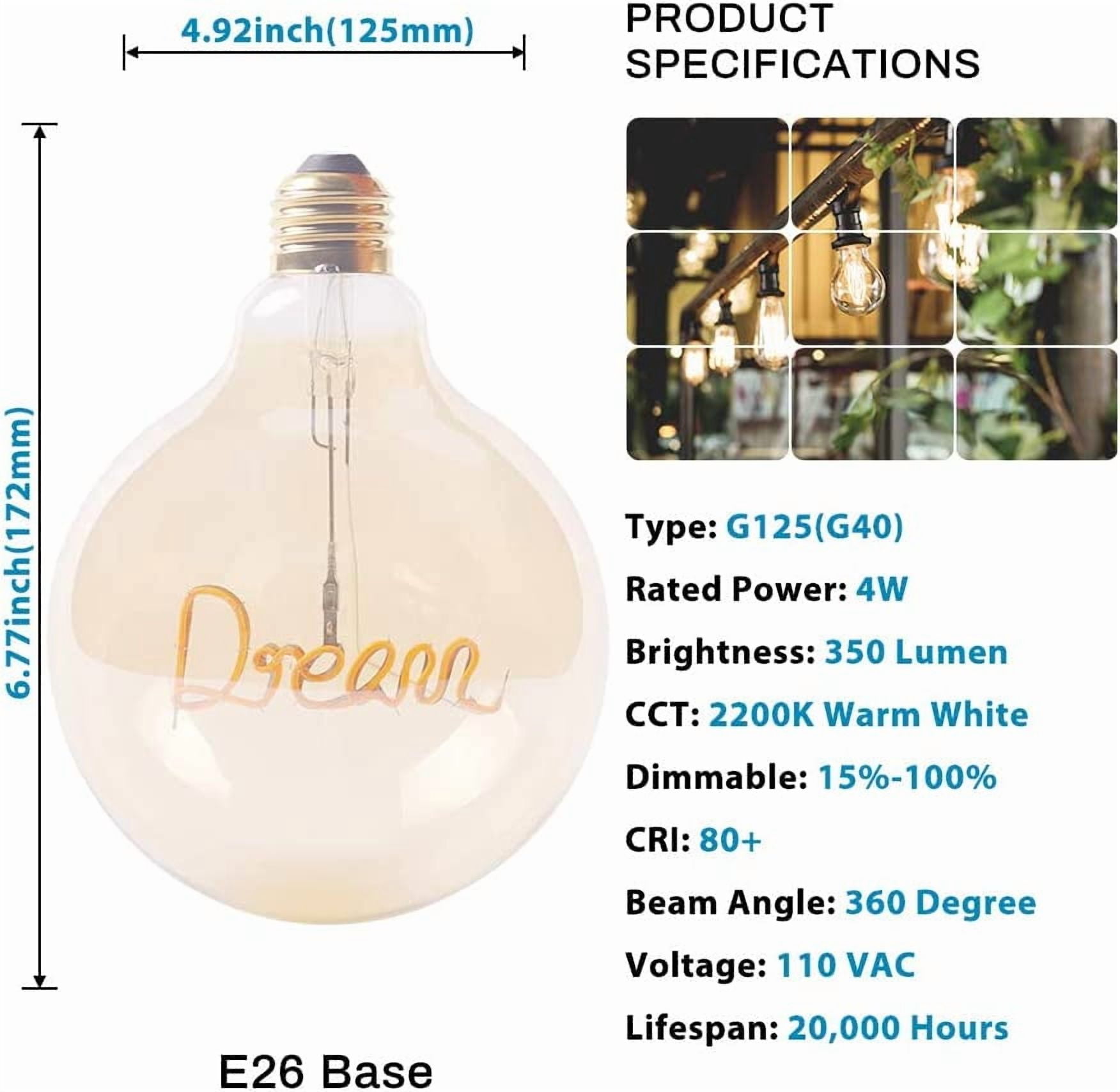 EFEMF-Vintage LED Filament Bulb Decorative Globe, E26 Base, G125 Edison ...