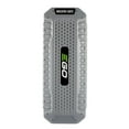 Ego Power+ Nexus Solar Panel Charger - Walmart.com