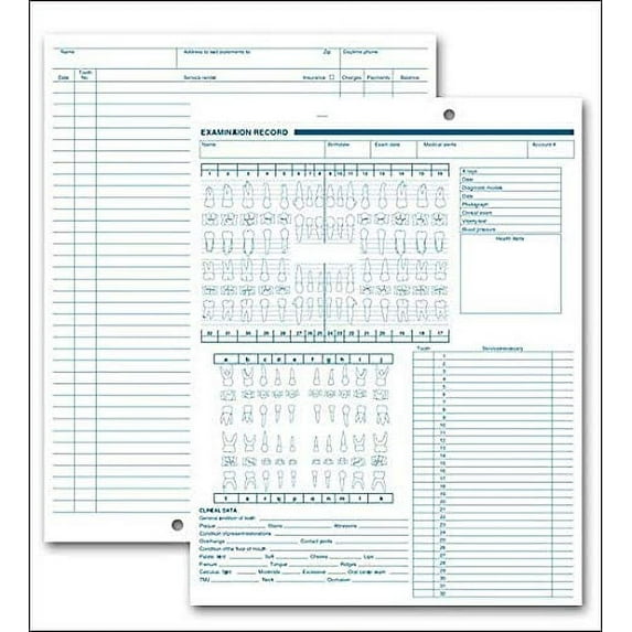 EGP Dental Exam Record, Anatomic & Periodontics Diagrams, Vertical ...