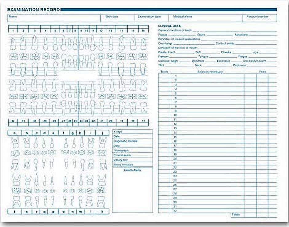 EGP Dental Exam Record, Anatomic & Periodontics Diagrams, Vertical ...