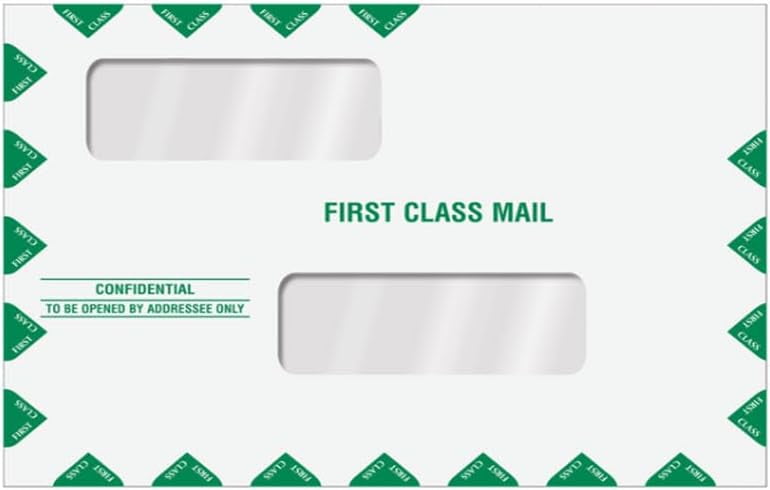 EGP Double Window Tax Return Mailing Envelope, 100 Envelopes - Walmart.com