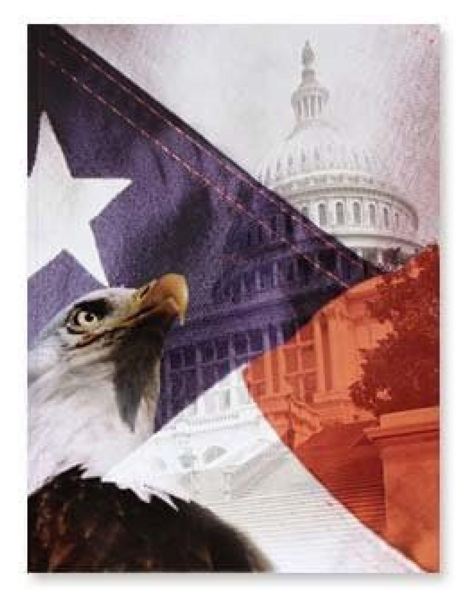 EGP Income Tax Return Folder - Patriotic - 50 Folders - Walmart.com