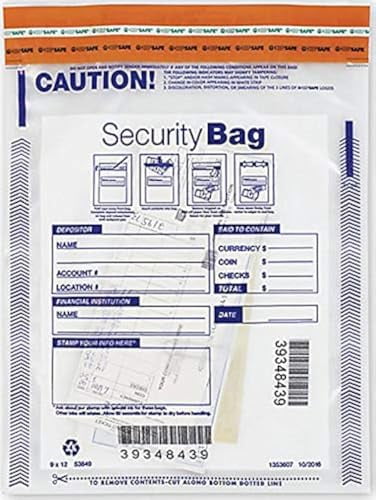 EGP Small Single Clear Pocket Bank Deposit Bag - 9 x 12-100 Bags ...