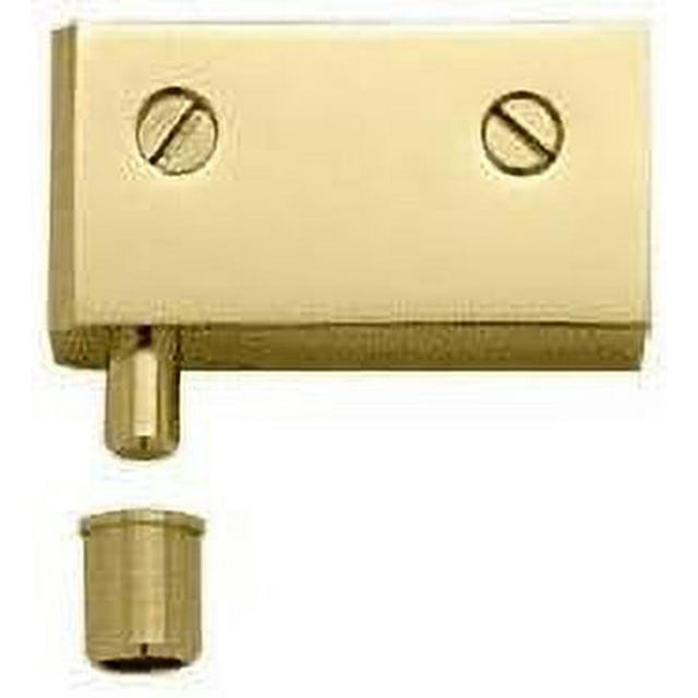EH326 Brass Wide Glass Door Pivot Hinge - Walmart.com