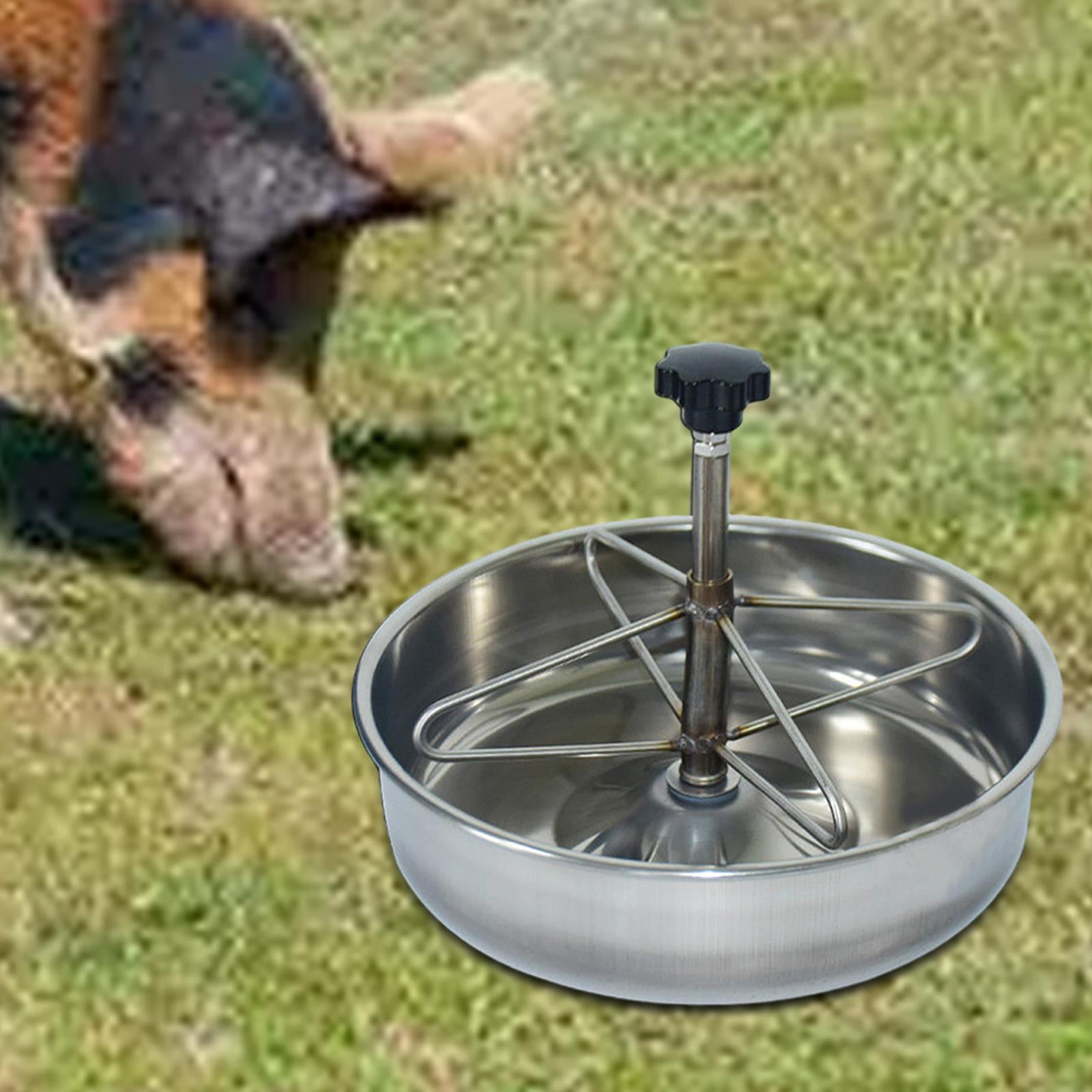 EHJRE Pig Feeding Trough Container Fodder Tray Piglet Feeder Pet ...
