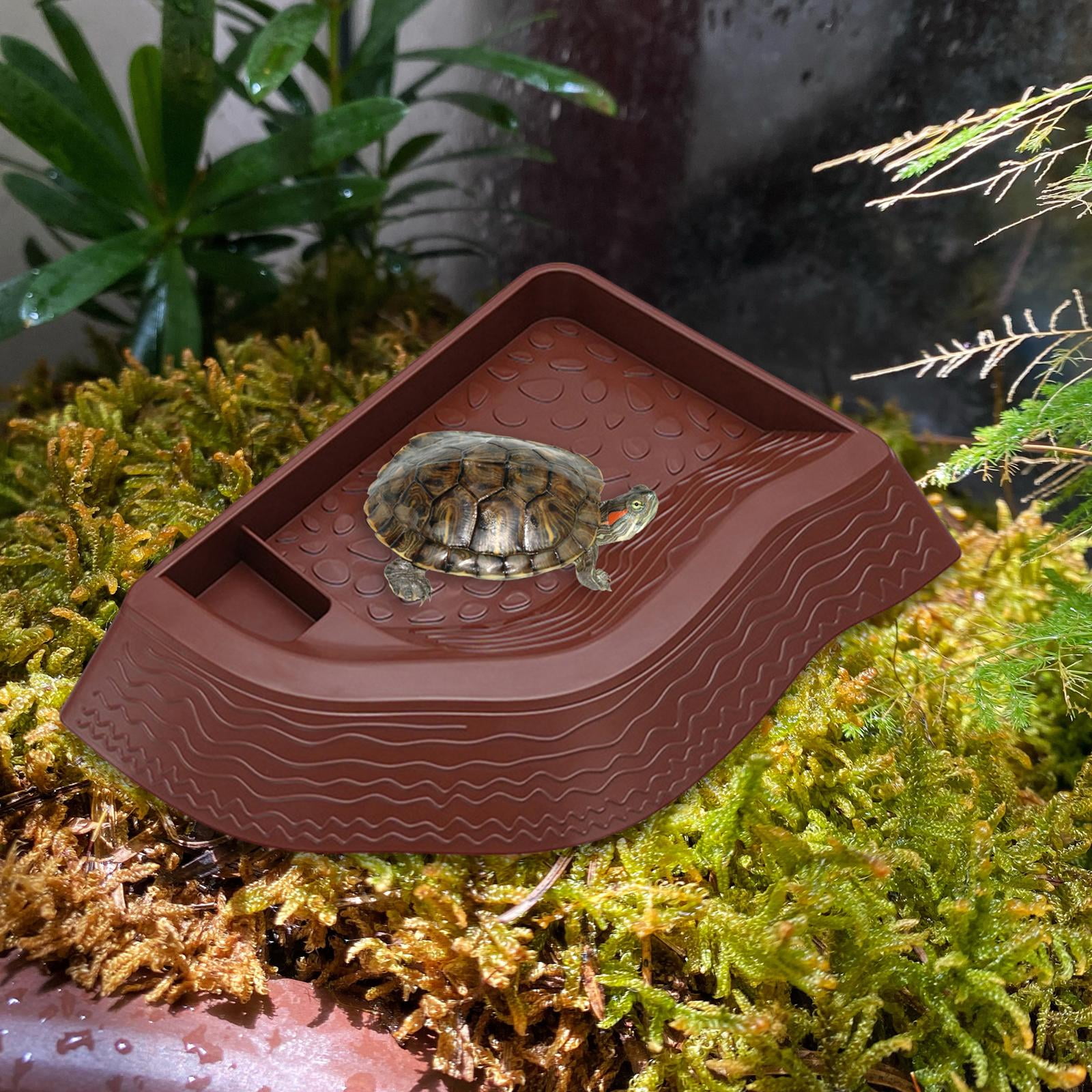 EHJRE Reptile Bathing Pool Feeding Tank Decoration with Ramp Reptile ...