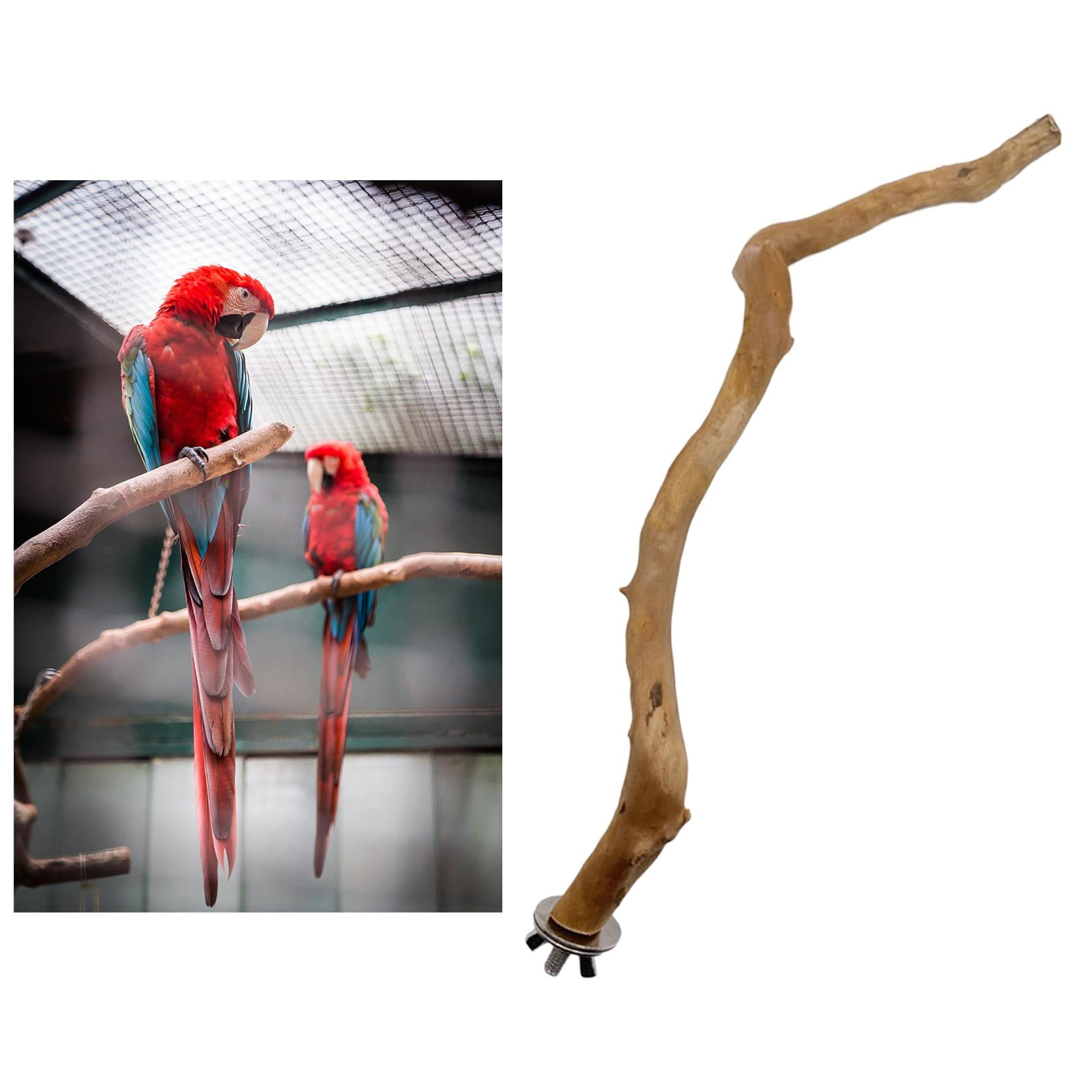 EHJRE Wood Bird Perch Stand Bird Stand Platform Bird Stand Pole Bird ...