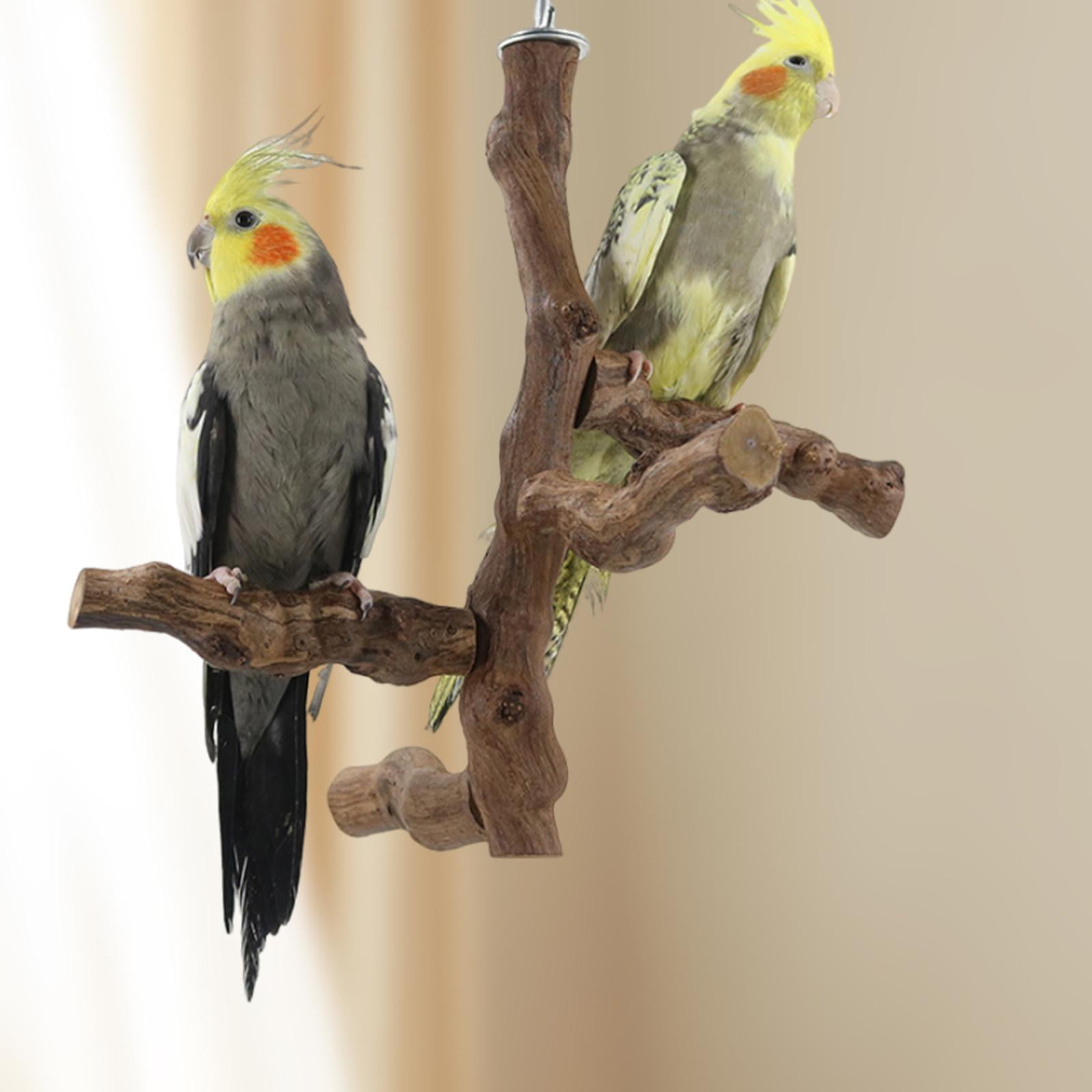 EHJRE Wood Bird Perch Stand Platform Activity Center Cage Top Wood Tree ...