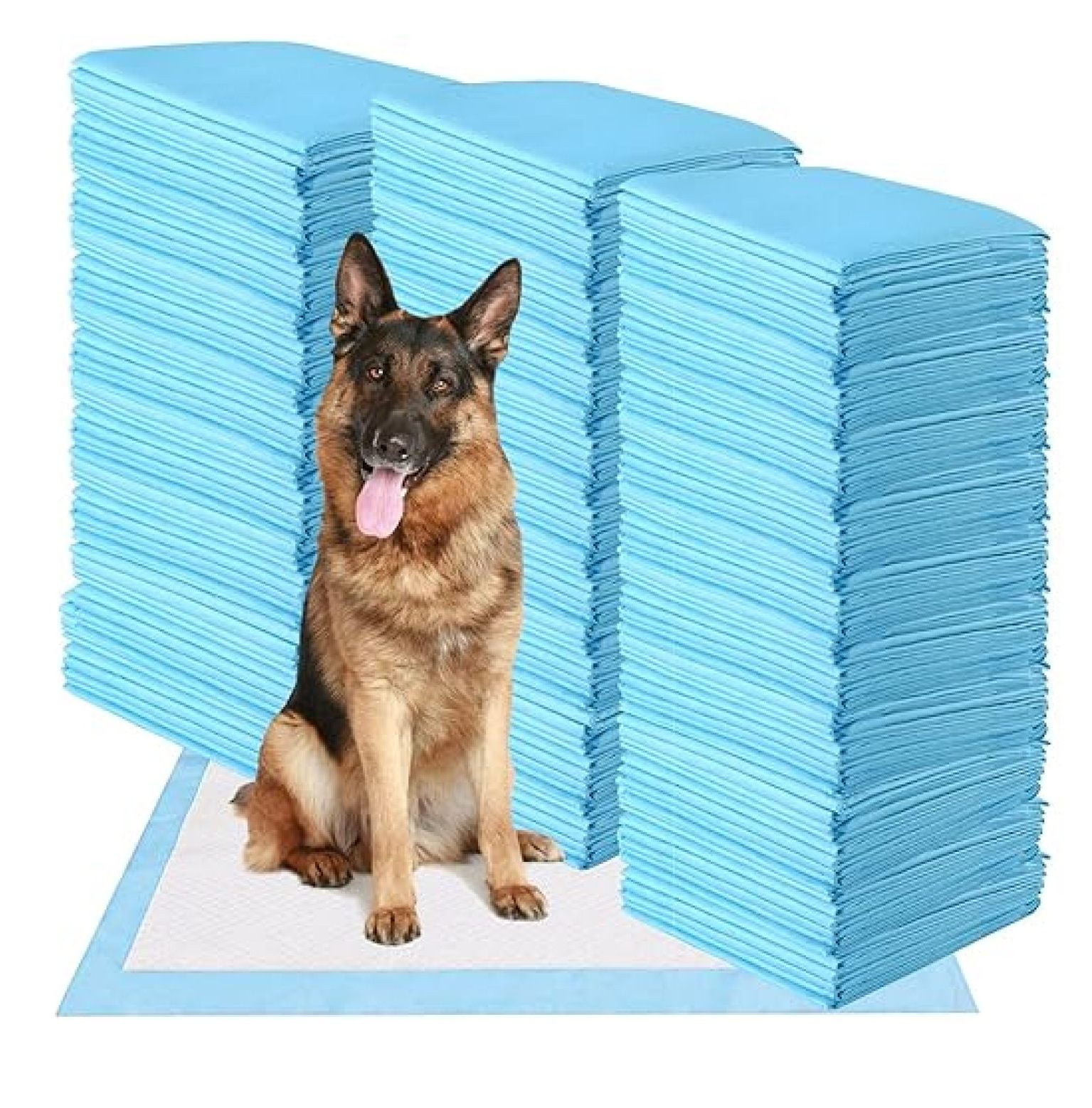 EIGHTNINE Dog Pee Pads 300 Count, 30''x30'' Dog Potty Pads, Powerful ...