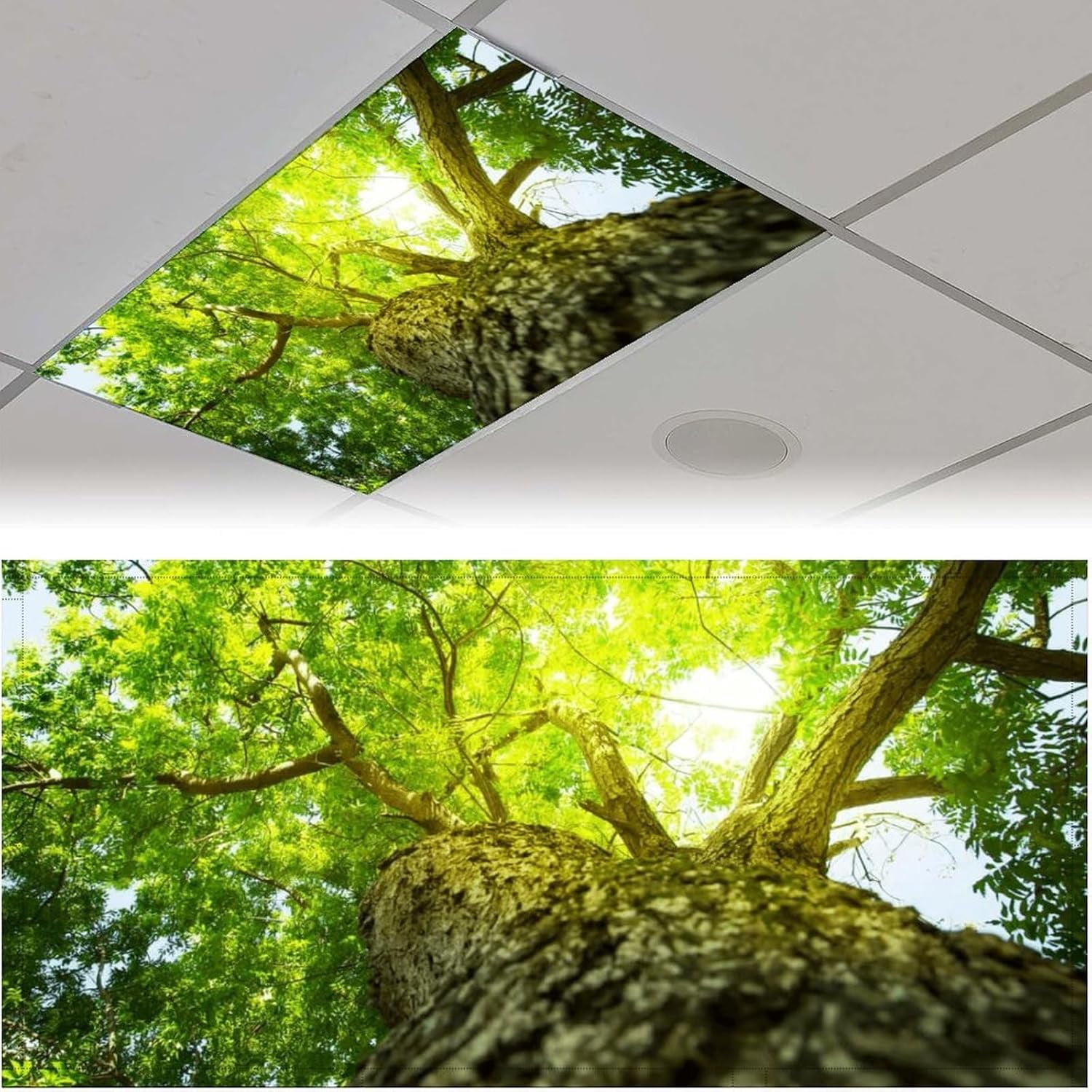EIKODO-2-Pack Fluorescent Light Covers for Classroom Ceiling Lights ...