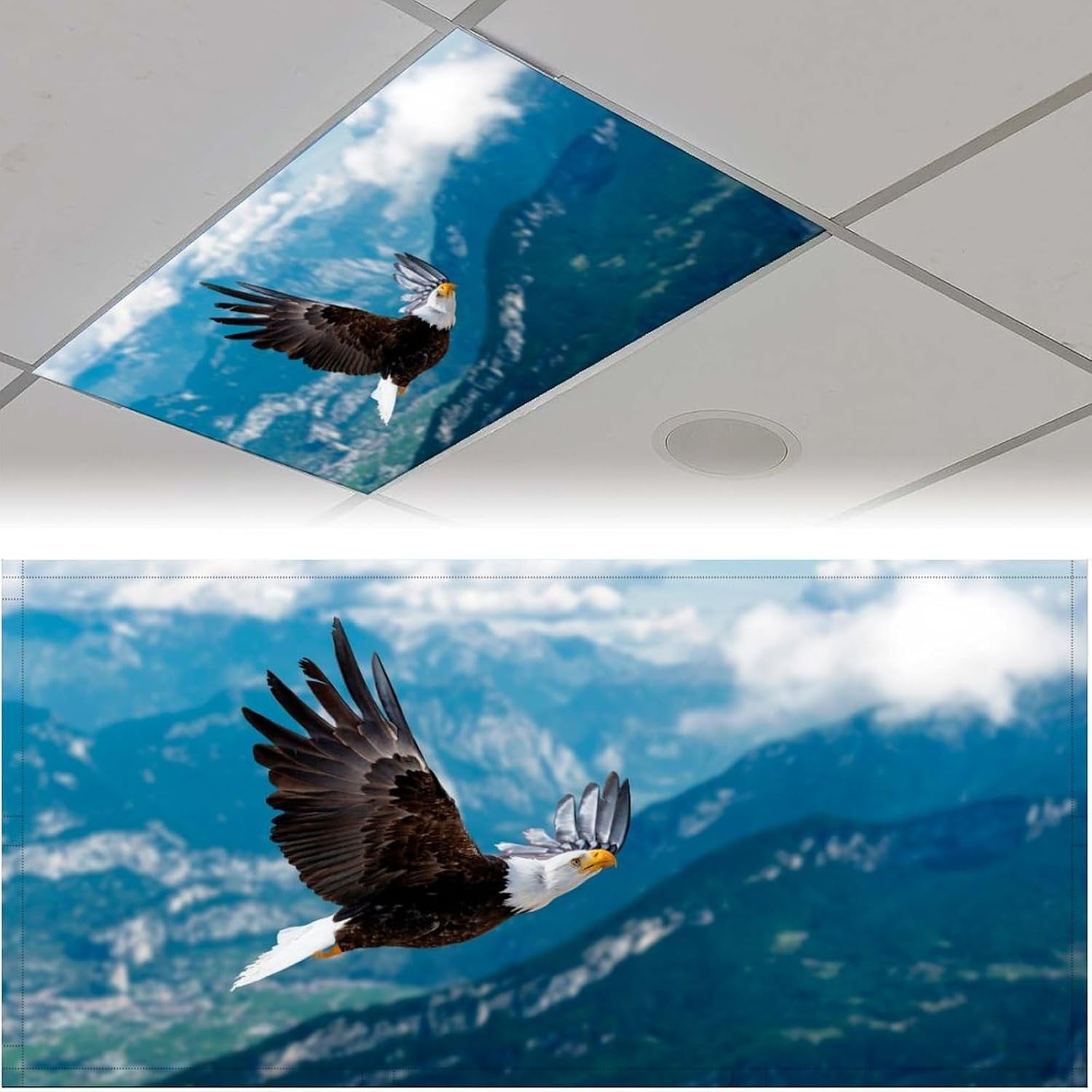 EIKODO-2 Pack Soaring Eagle Magnetic Fluorescent Light Cover for Ceiling - Classroom Light ...